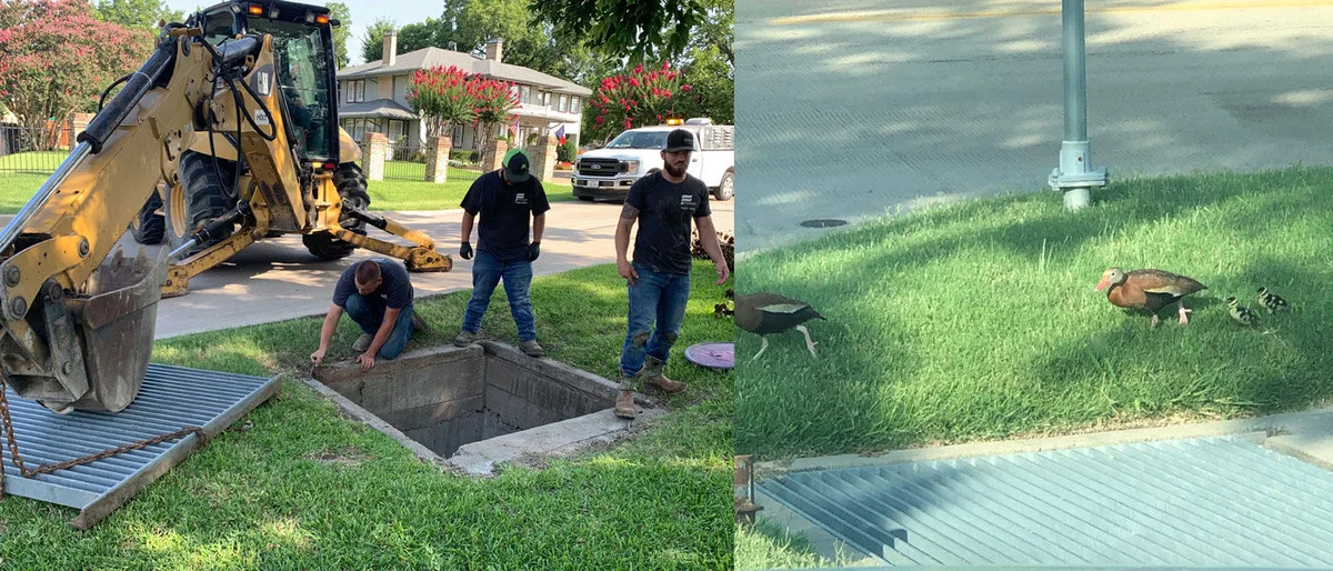 Forney Public Works Department crew members rescue nearly dozen ...