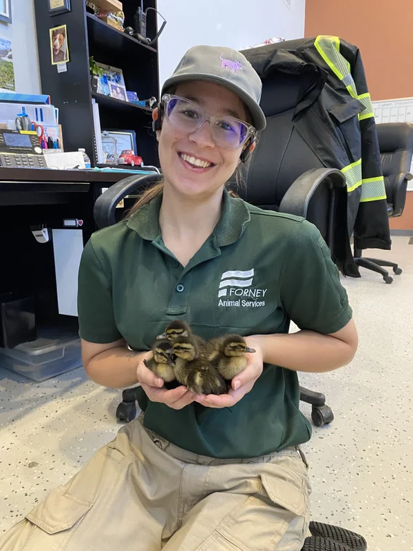 Forney Animal Shelter Heroes- Meet Kylie