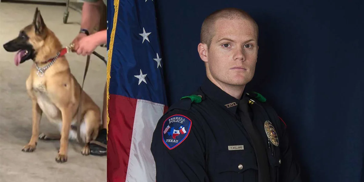 Terrell Police Department implements new K-9 program with graduation of ...